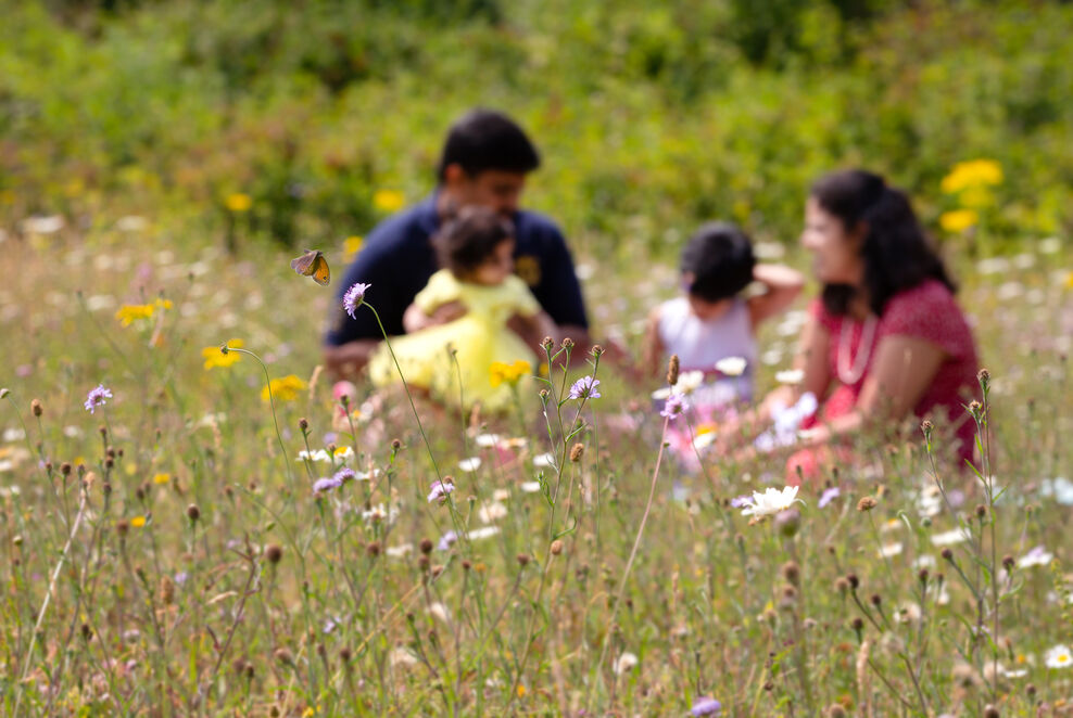 New poll reveals dramatic loss of ‘outdoor joy’ as we age | Wildlife ...
