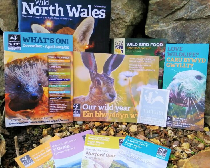 Join | Wildlife Trusts Wales