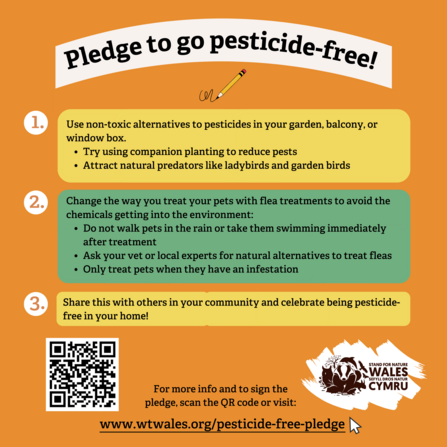Pesticide Free Pledge! | Wildlife Trusts Wales